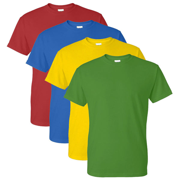 Rogiet School PE T-Shirt in House Colours – Kudos Companies